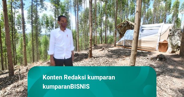 Jokowi Ajak Investor untuk Investasi di IKN: Tidak Perlu Ragu dan ...